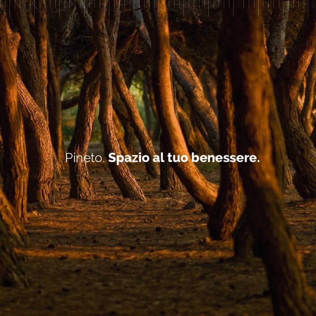 Visit Pineto - Visit Pineto